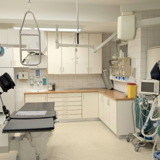Free Hospital Invoice Templates - Invoize - Easy invoice Maker App